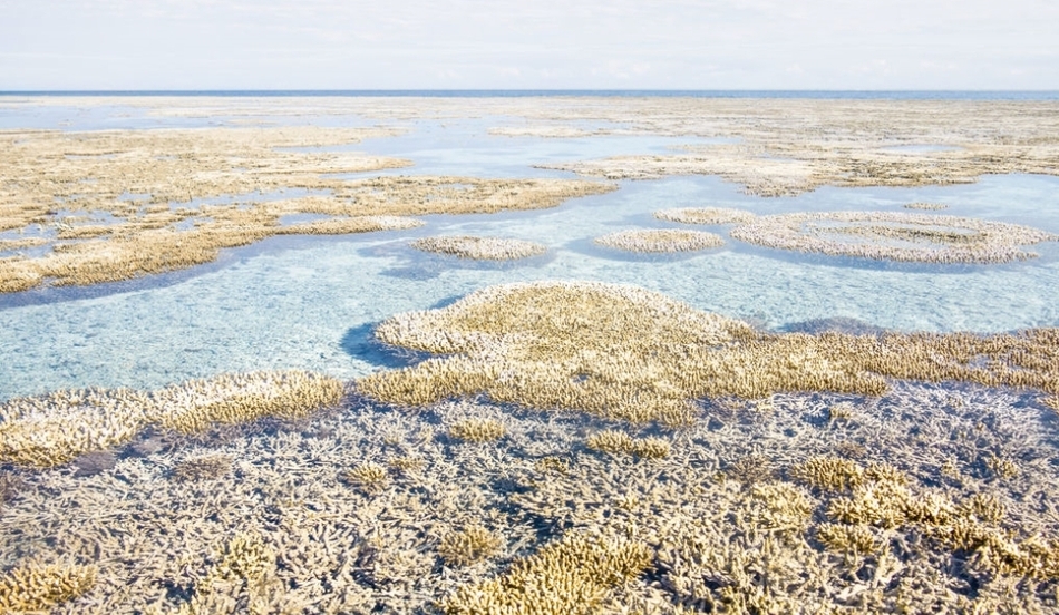 Wilson Wealth Management - Atlanta, GA | UBS